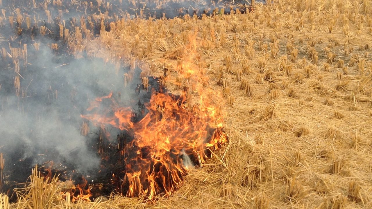 Aakash Project (RIHN)｜An Interdisciplinary Study toward Clean Air ...