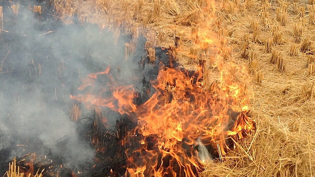 Daily updates from Intensive observation campaign 2023 Autumn｜Aakash ...