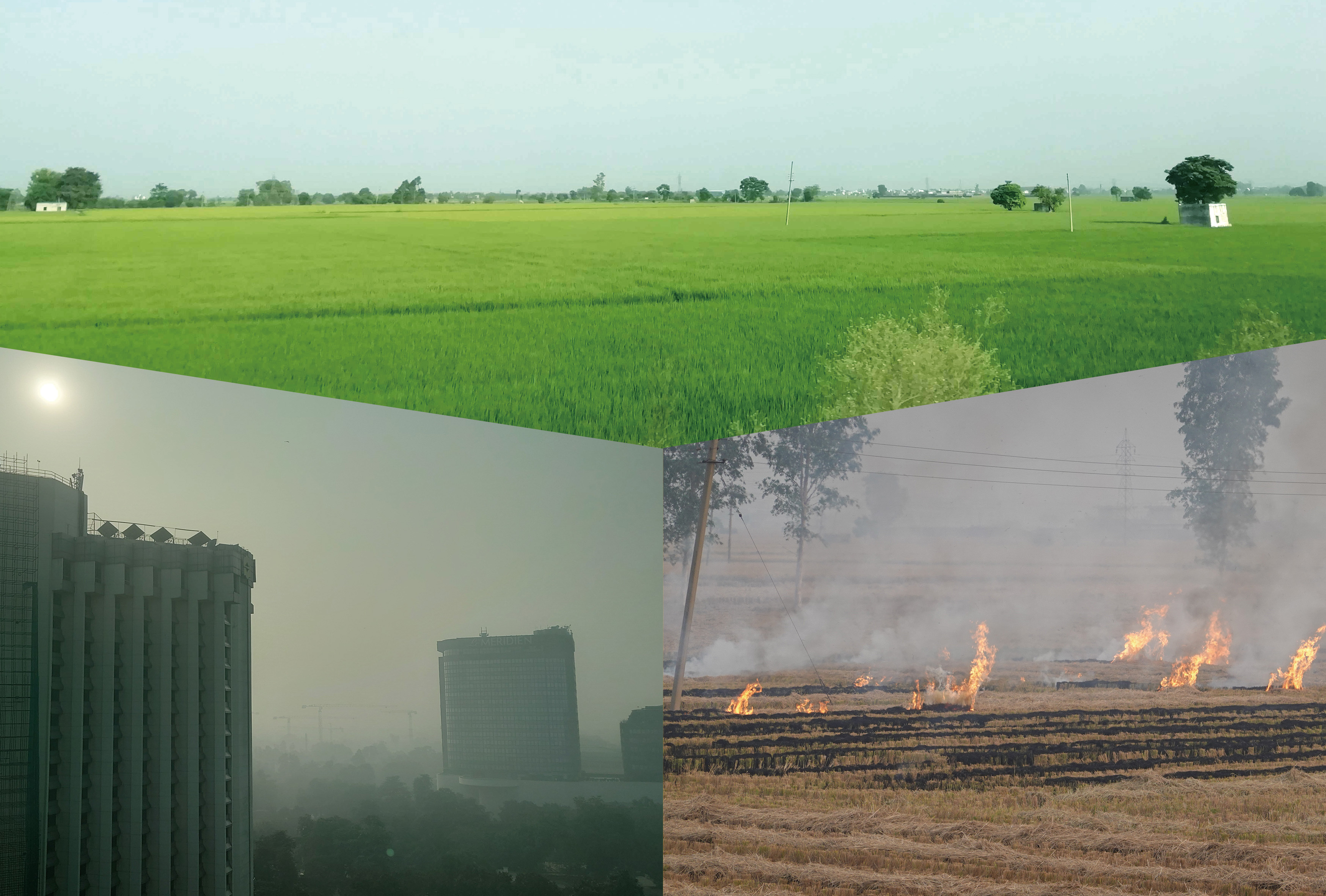 Journal Publication list Updated!!｜Aakash Project (RIHN)